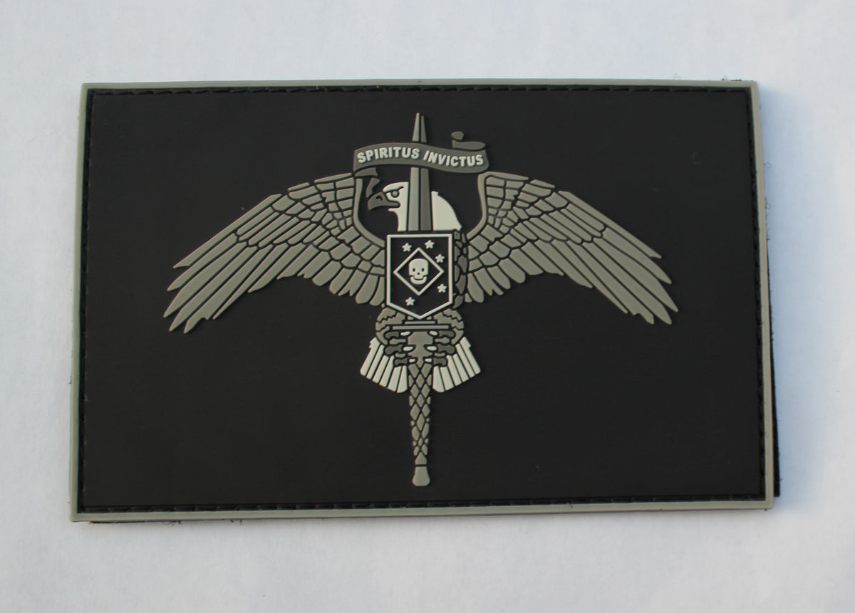 Raider Legacy PVC Patch - Multiple Color Options - 5" X 3.5" – Legacy ...